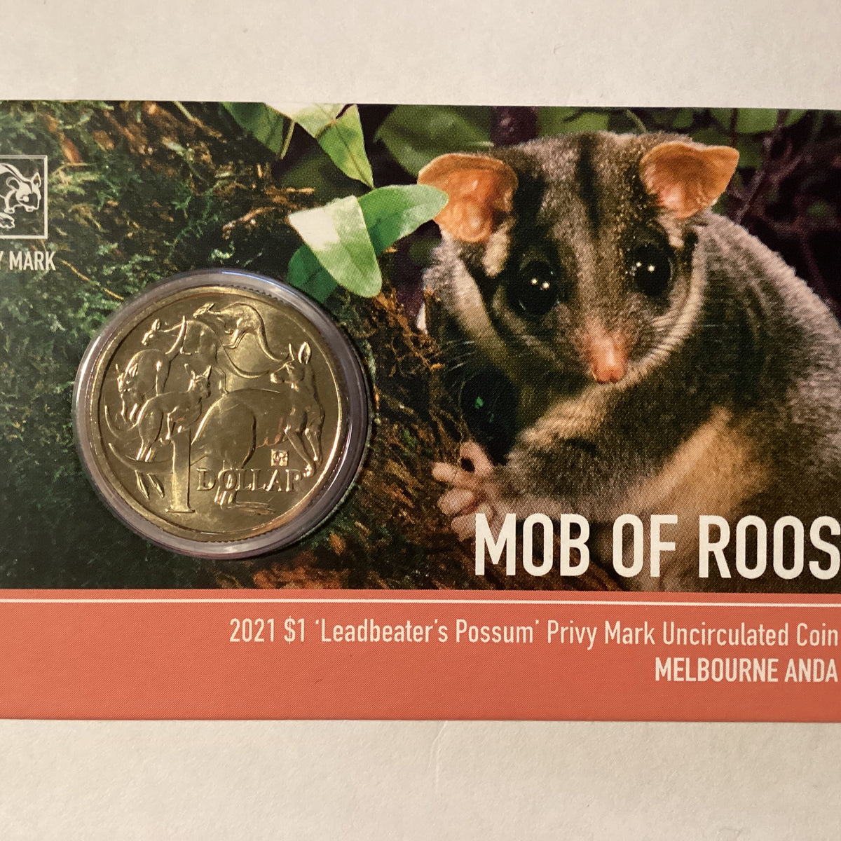 2021 $1 Mob of Roos Carded Coin. Anda Release. Leadbeater’s Possum Pri – Ensleigh Coins