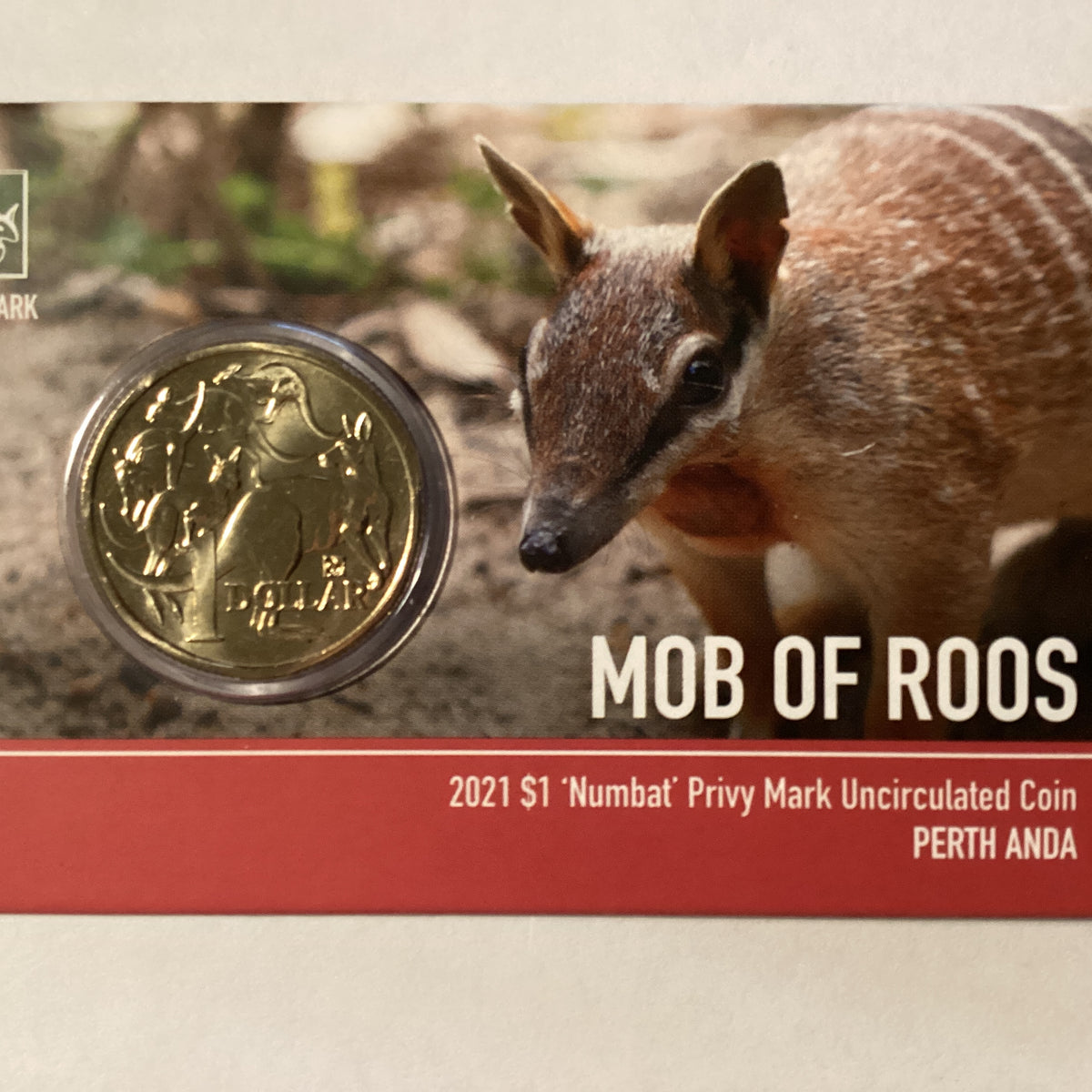 2021 $1 Mob of Roos Carded Coin. Anda Release. Numbat Privy Mark. Pert ...