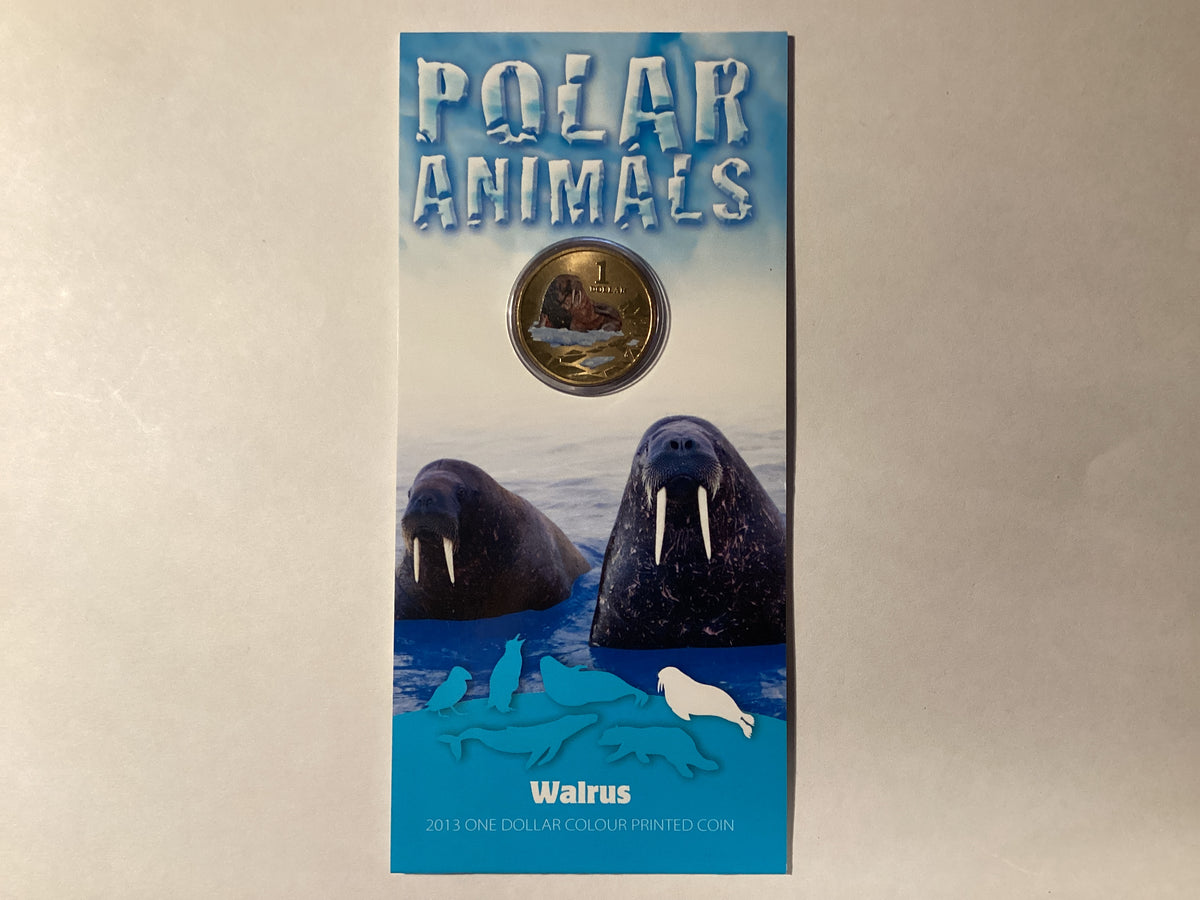 2013 $1 Colour Printed Coin. Polar Animals. Walrus. | Ensleigh Coins