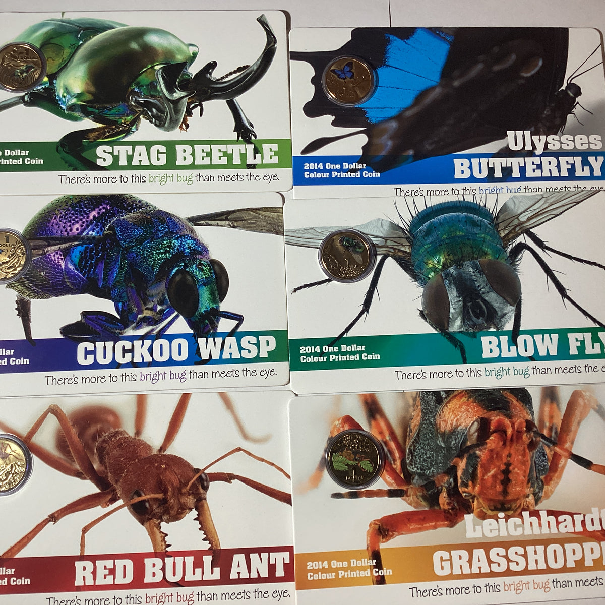 2014 $1 Coloured Printed Coin. Complete Bright Bug Series. – Ensleigh Coins