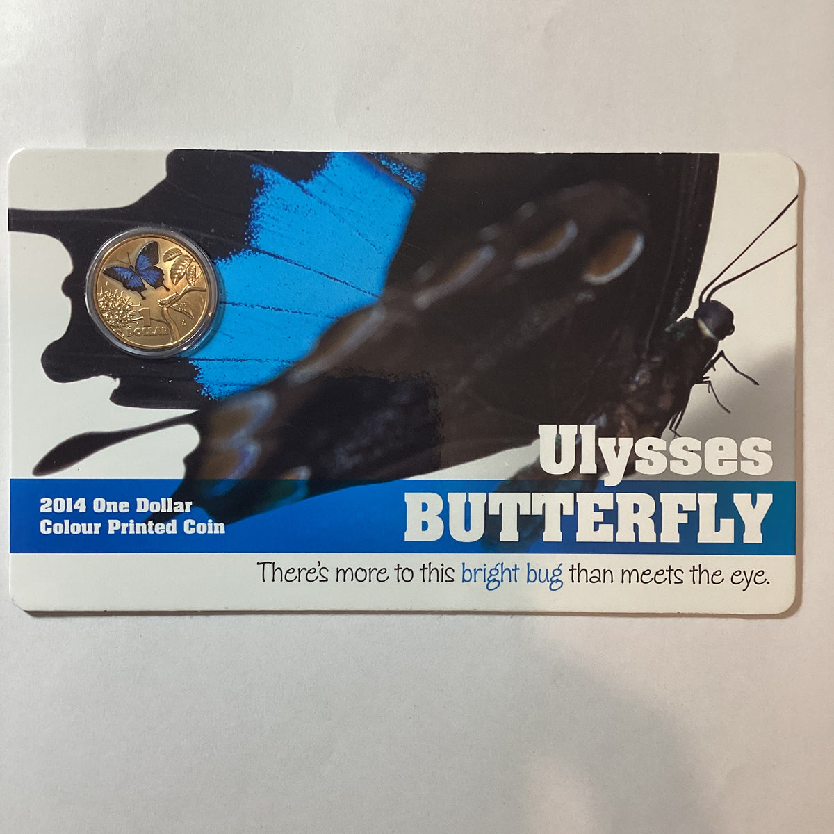 2014 $1 Ulysses Butterfly Colour Printed Coin – Ensleigh Coins
