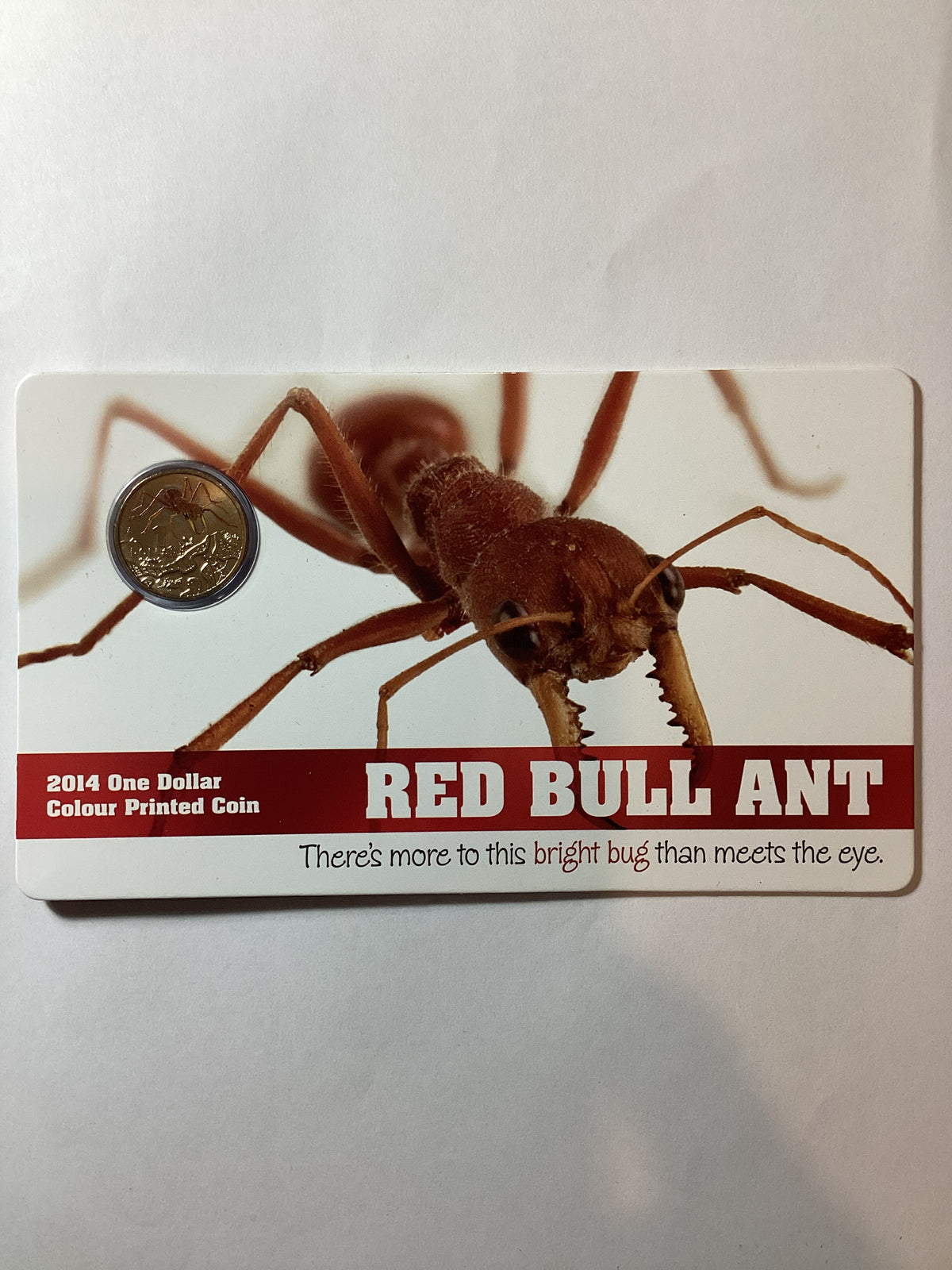 2014 $1 Red Bull Ant Colour Printed Coin | Ensleigh Coins